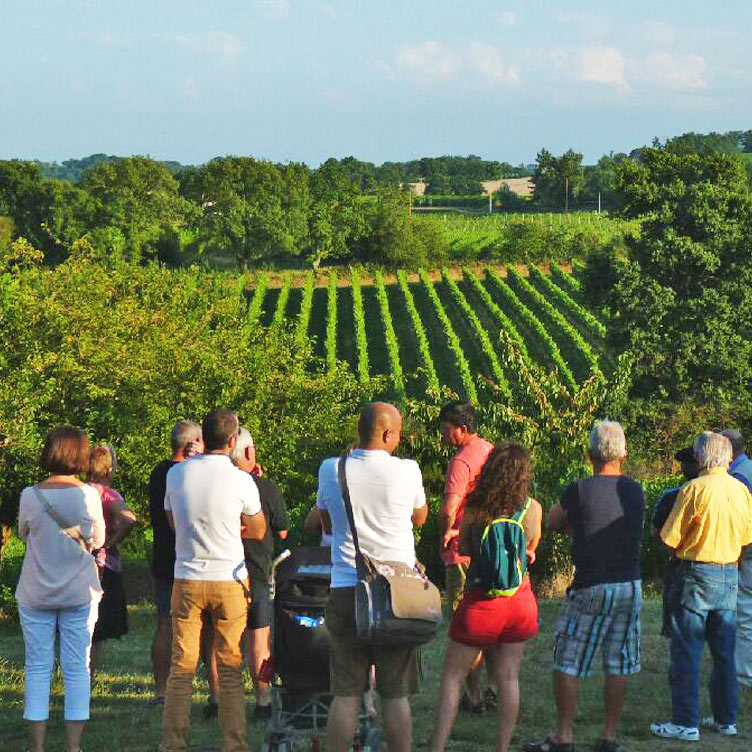 TOURISM & HOLIDAYS IN BEARN & THE PYRENEES - Guide Béarn Pyrénées