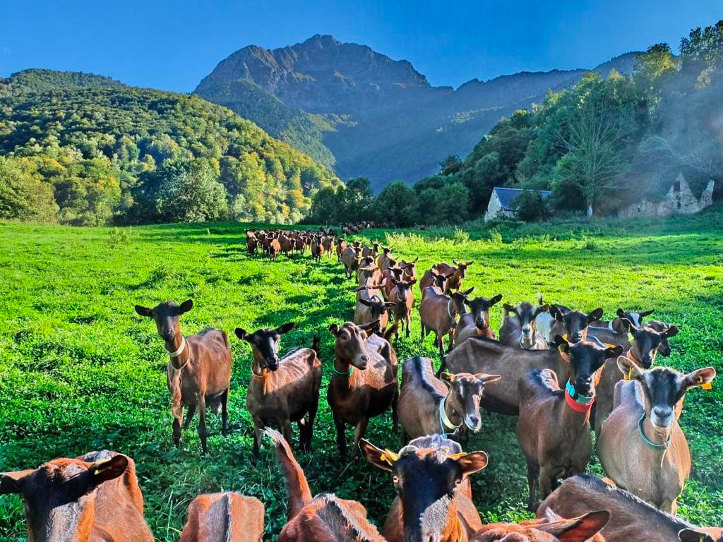 TOURISM & HOLIDAYS IN BEARN & THE PYRENEES - Guide Béarn Pyrénées